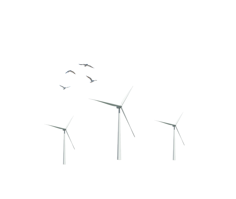 XBird Radar® - Biodiv-Wind